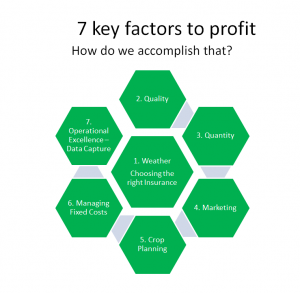 7 key factors | Norris Crop Consulting